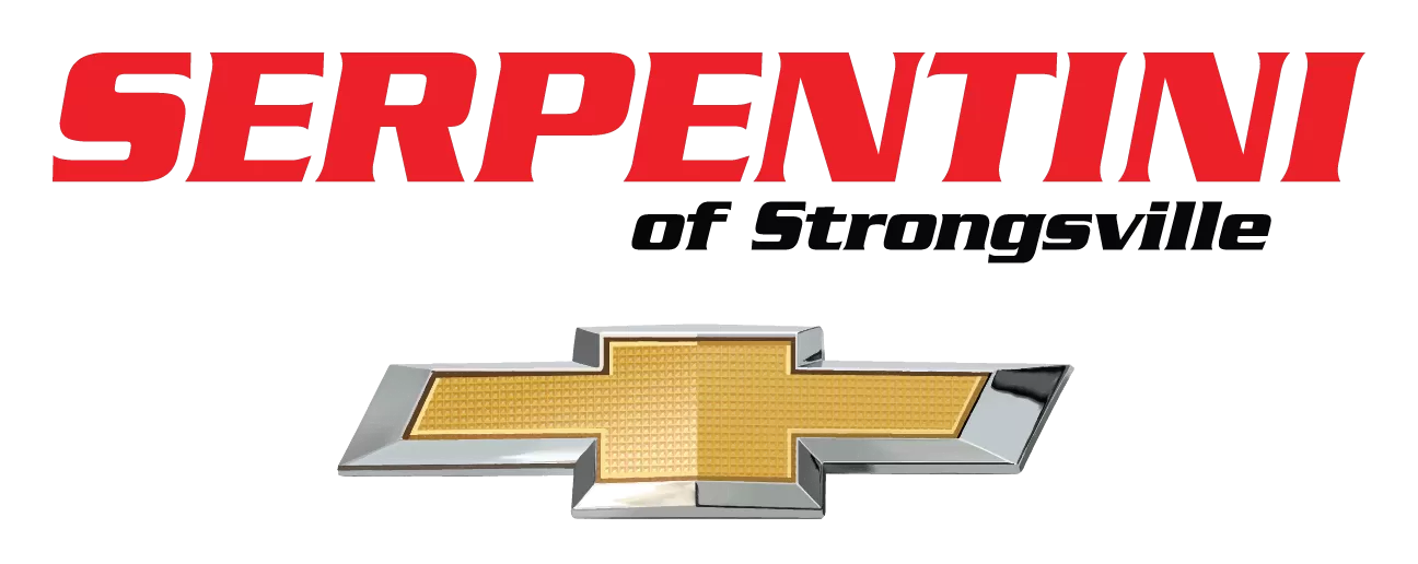 Meet Our Team at Serpentini Commercial Center